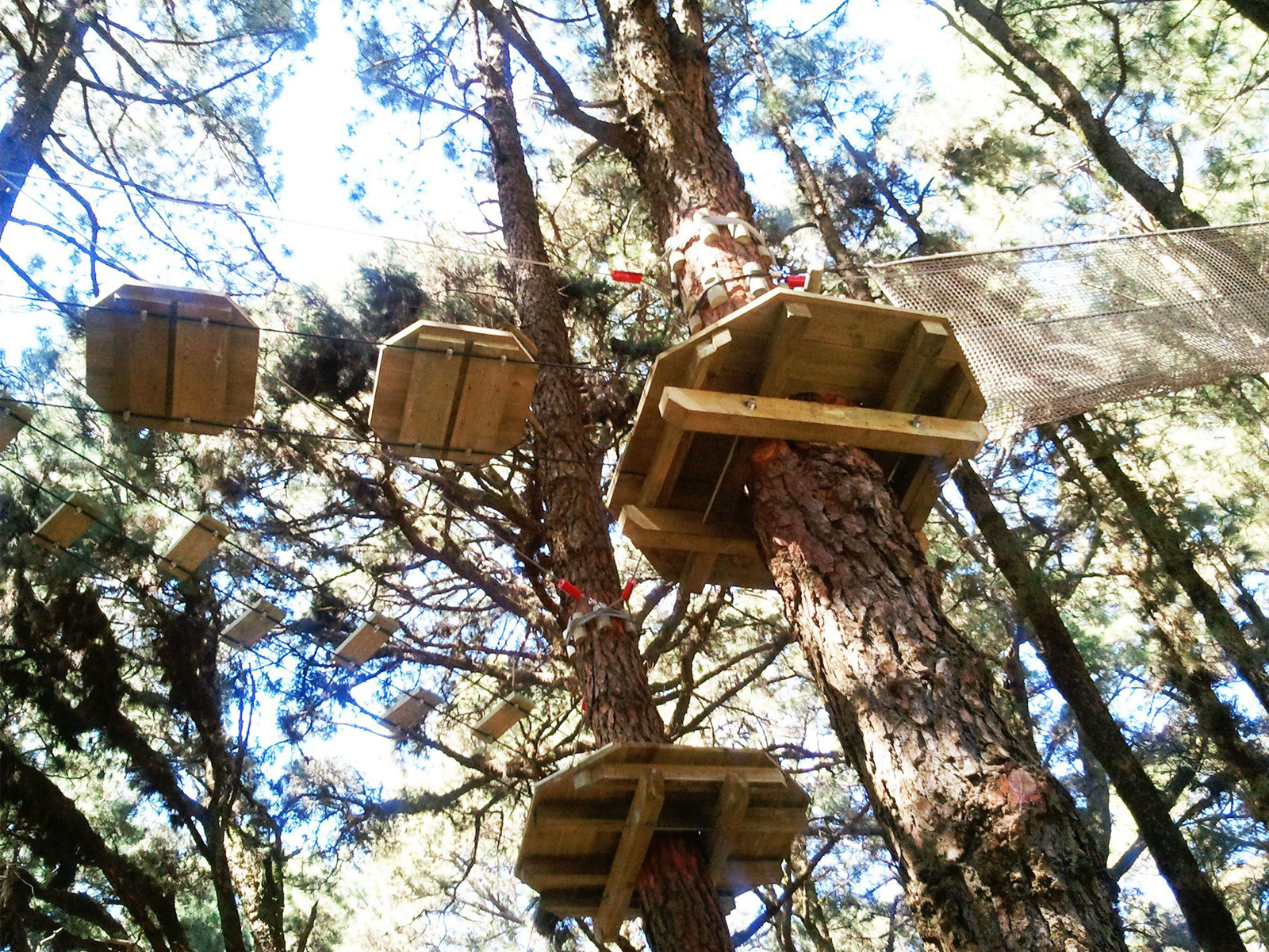 Nuevo parque de tirolinas en Vigo • Marikina Park